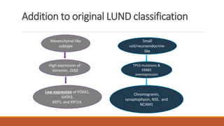 Genomics of bladder cancer and novel molecular taxonomy.pptx