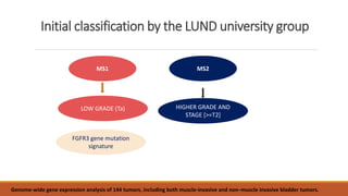 Genomics of bladder cancer and novel molecular taxonomy.pptx