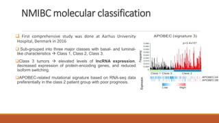 Genomics of bladder cancer and novel molecular taxonomy.pptx