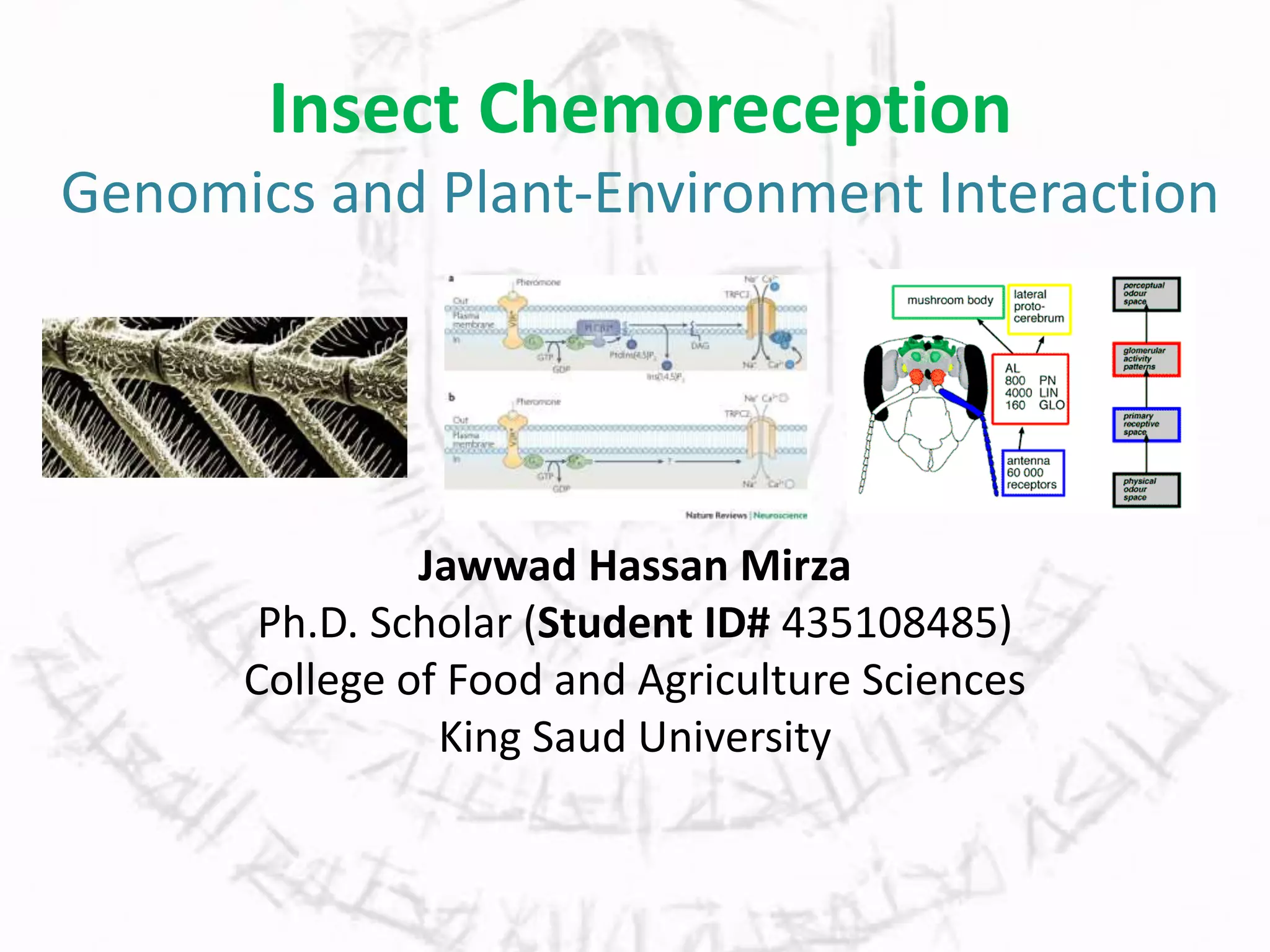 Genomics of insect chemoreception | PPTX