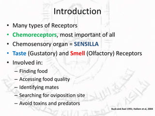 Genomics of insect chemoreception | PPTX