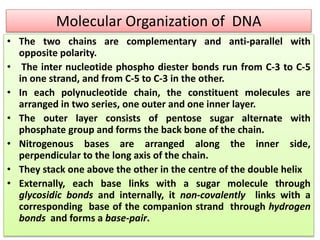 Genomics,proteomics and comparative genomics | PPTX