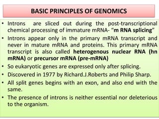 Genomics,proteomics and comparative genomics | PPTX