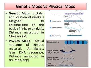 Genomics,proteomics and comparative genomics | PPTX