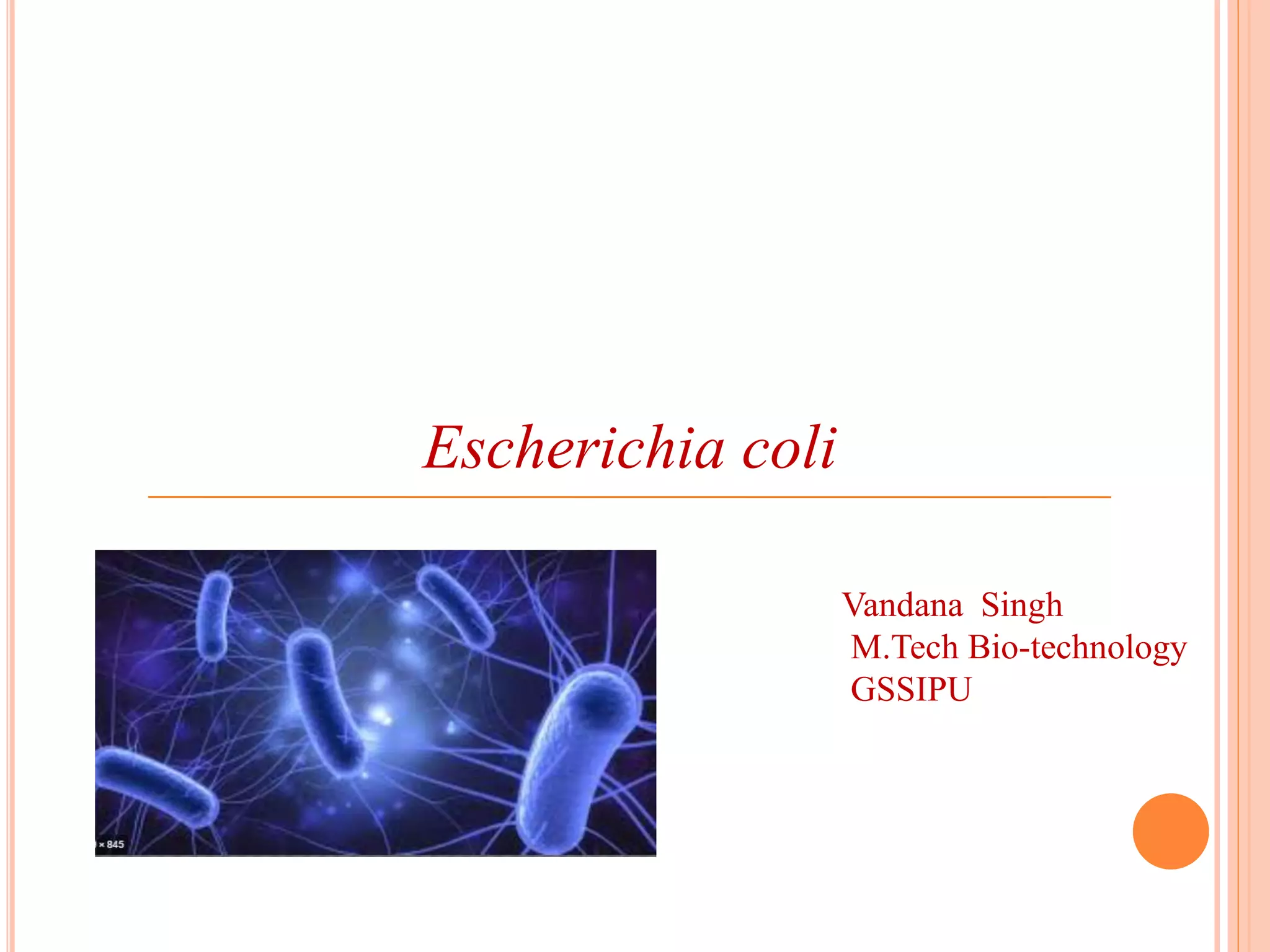 presentation on E.coli