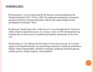 presentation on E.coli