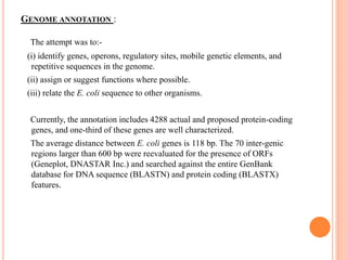 presentation on E.coli