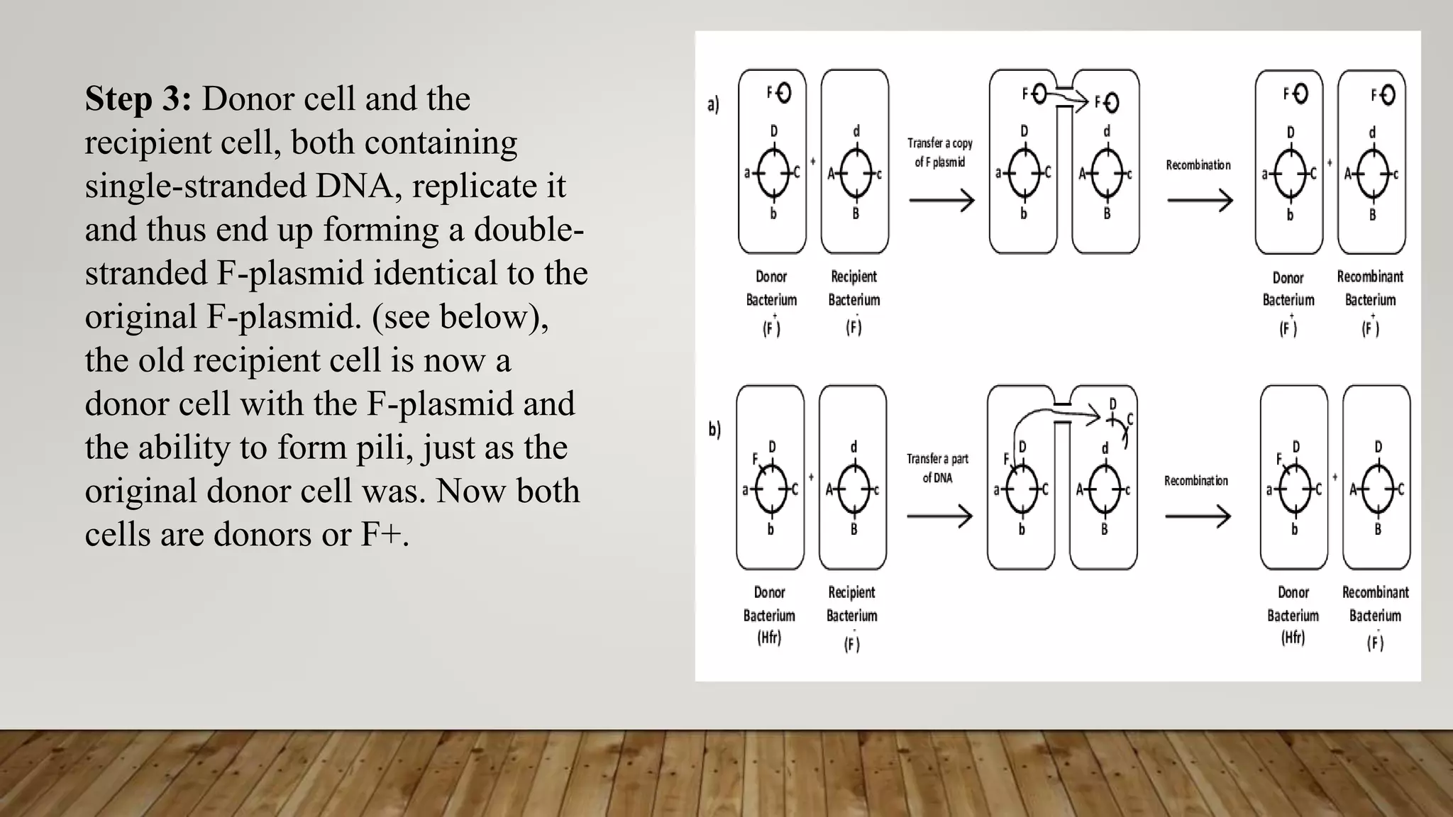 horizontal gene transfer PPT.pptx