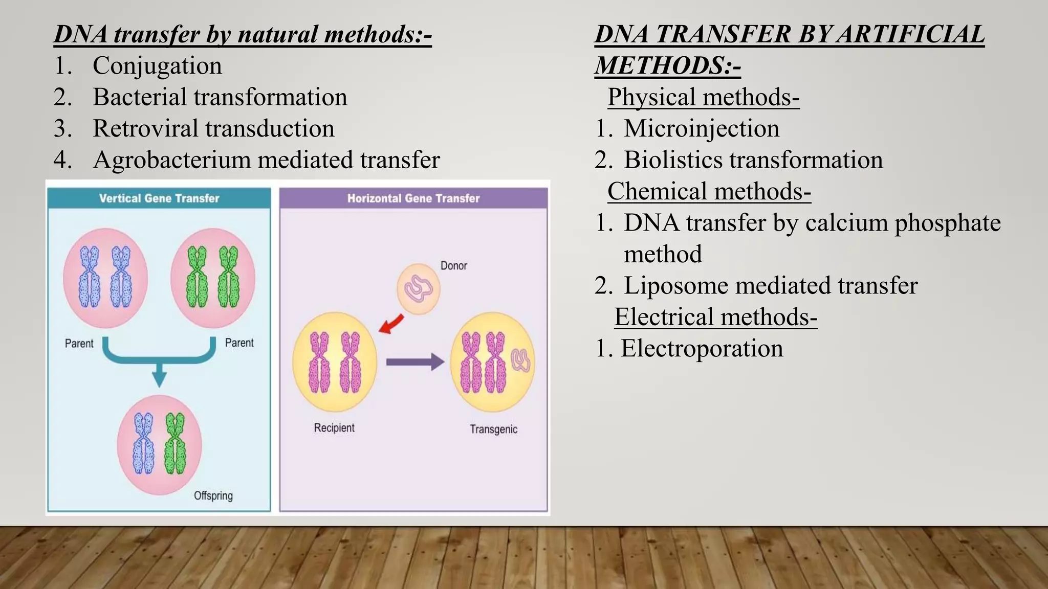 horizontal gene transfer PPT.pptx
