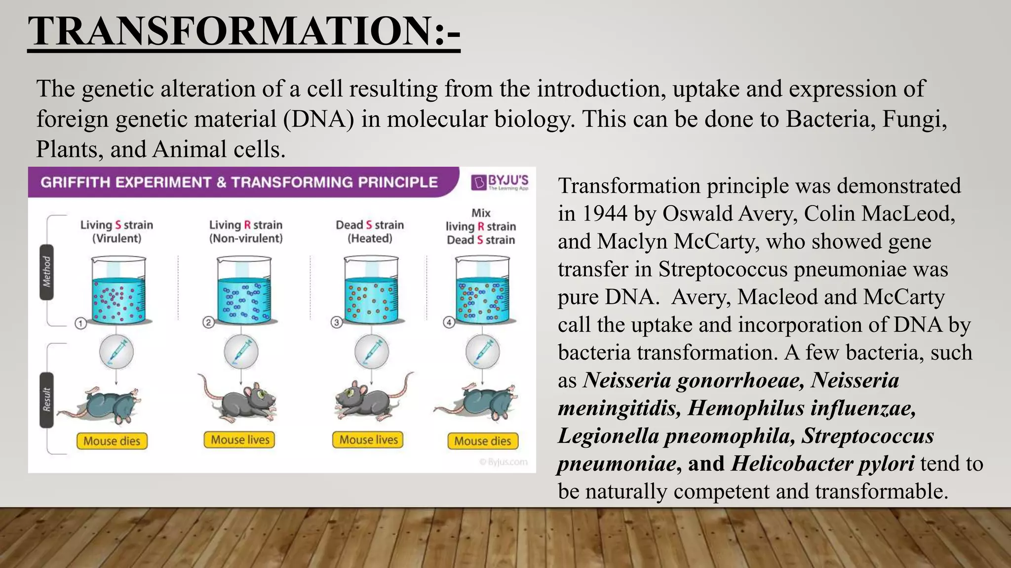 horizontal gene transfer PPT.pptx