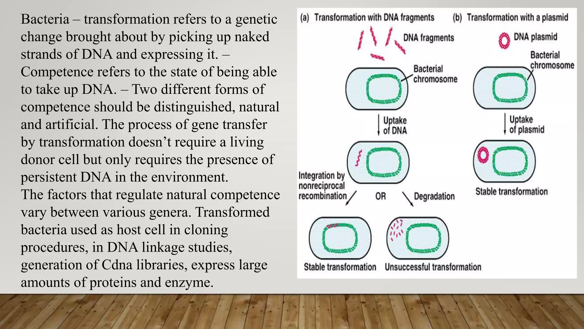 horizontal gene transfer PPT.pptx