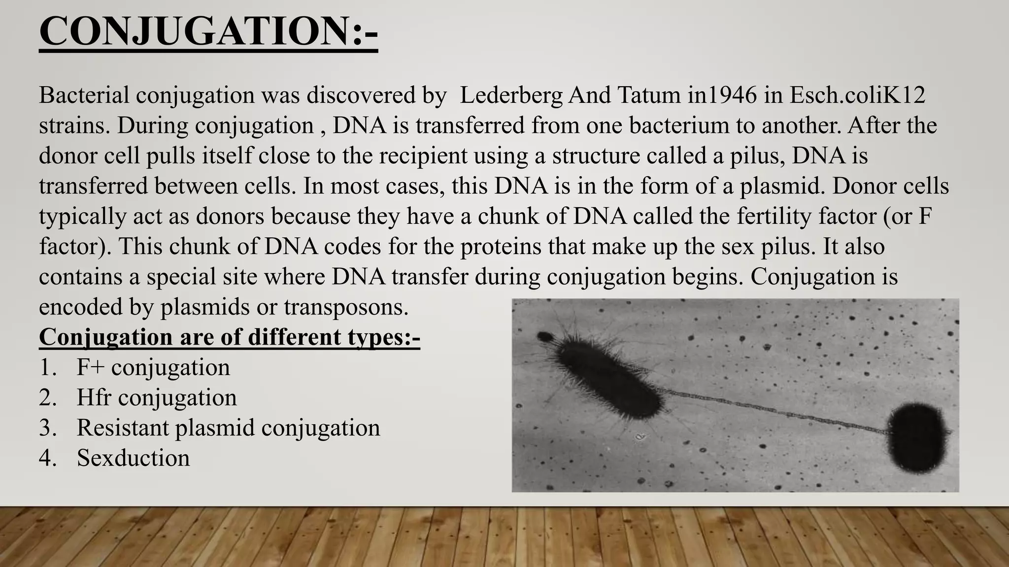 horizontal gene transfer PPT.pptx