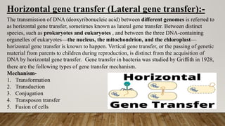 horizontal gene transfer PPT.pptx