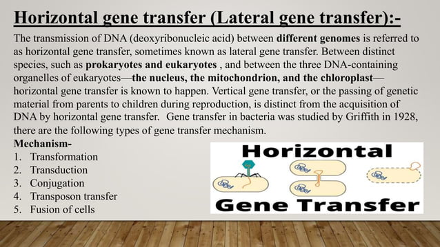 horizontal gene transfer PPT.pptx | Biological Sciences | Science