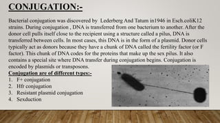 horizontal gene transfer PPT.pptx