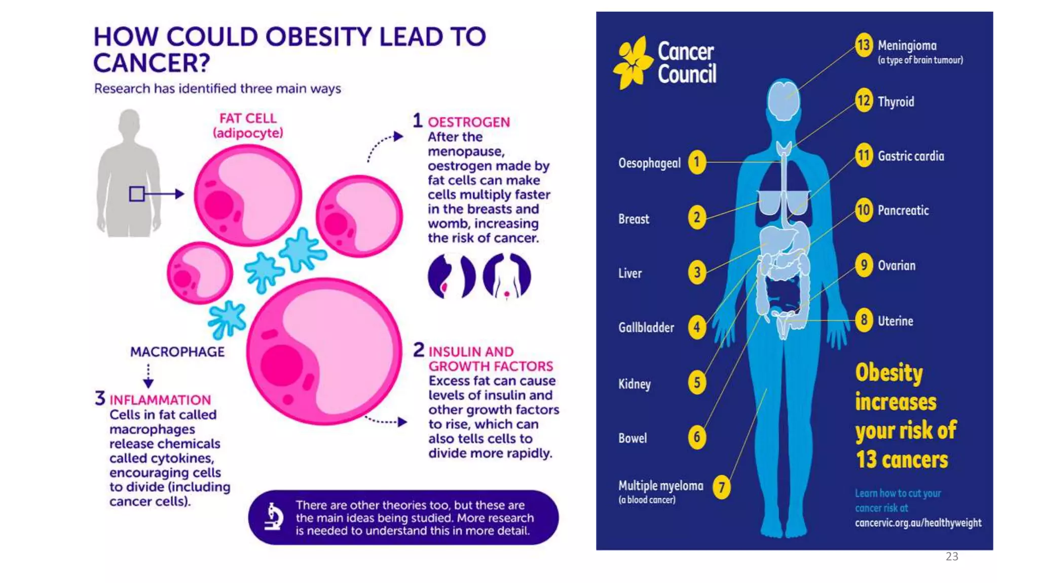 genetics and obesity | PPTX