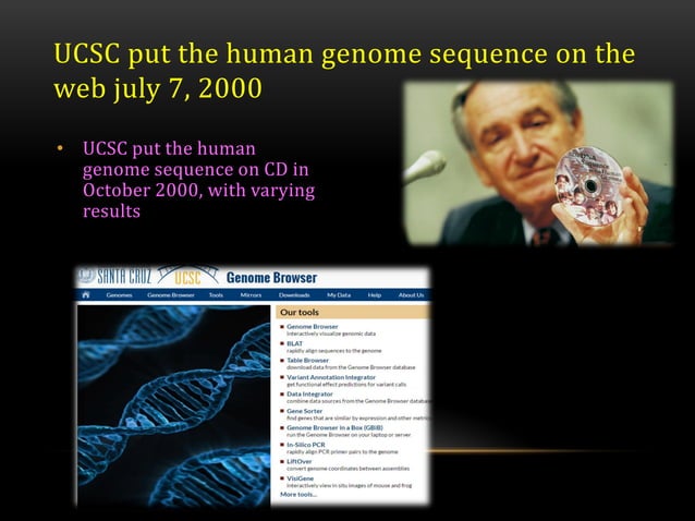 Genomics and proteomics (Bioinformatics) | PDF