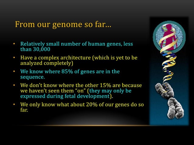 Genomics and proteomics (Bioinformatics) | PDF