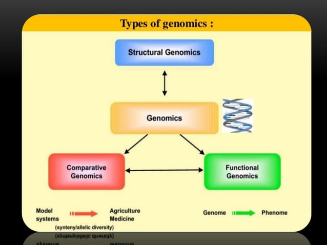 Genomics And Proteomics Bioinformatics Pdf