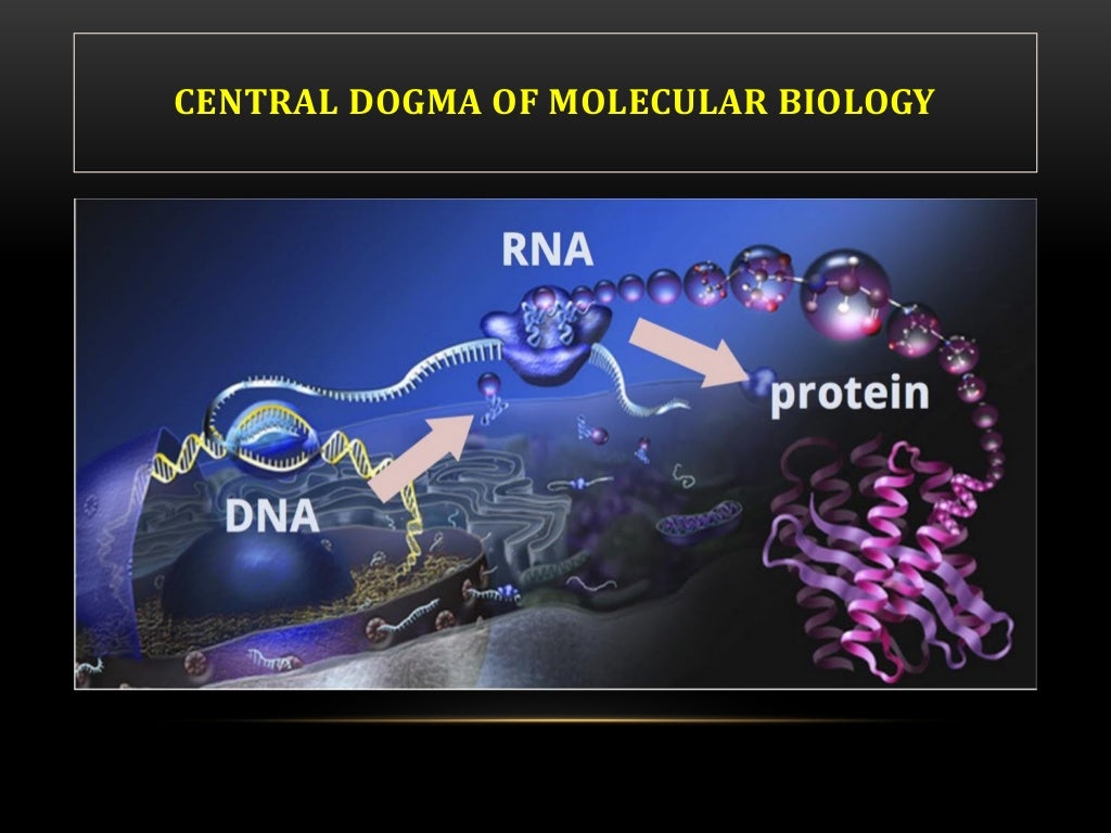 Genomics and proteomics (Bioinformatics) Genomics and proteomics (Bioinformatics)