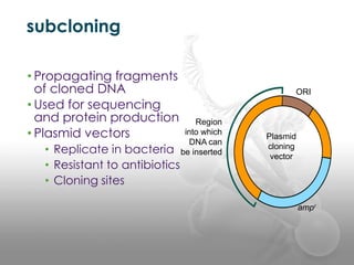 Genomics seminar | PPTX