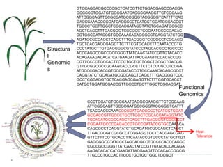 Genomics Tools for Crop Improvement - Presentation | PPT