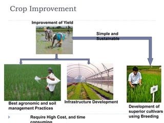 Genomics Tools for Crop Improvement - Presentation | PPT
