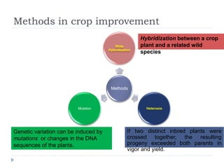Genomics Tools for Crop Improvement - Presentation | PPT