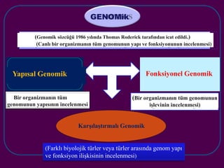 Genomik kullandigi alanlar | PPT