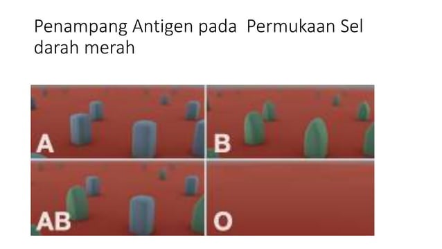 Genotipe Gol. darah.pptx
