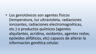 Genotoxicidad.pptx