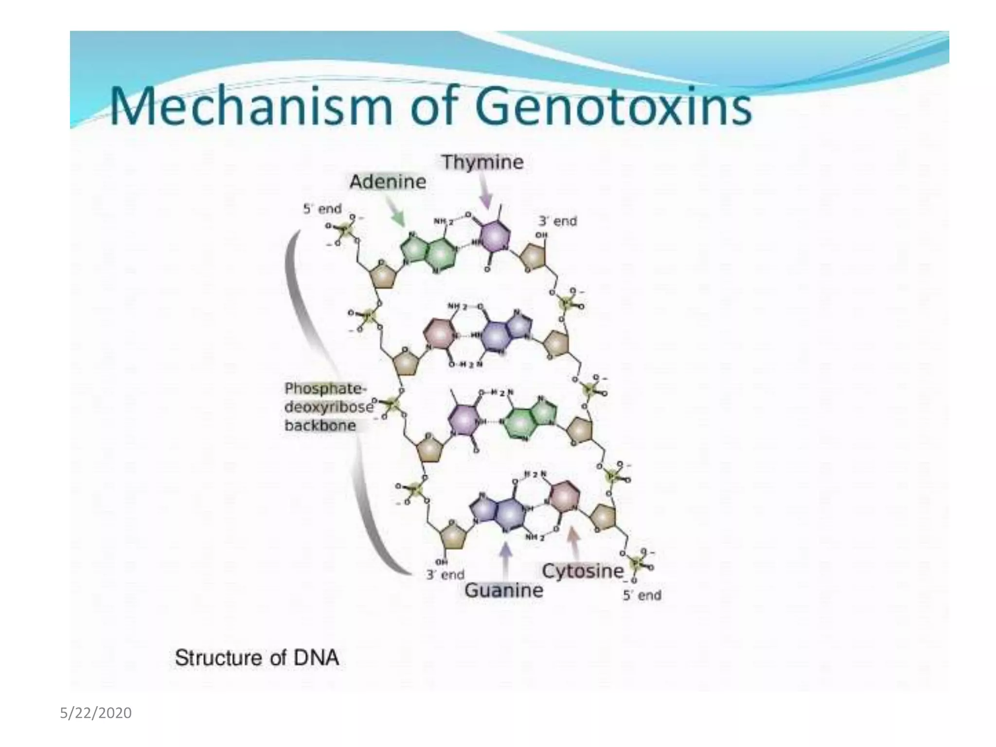 Genotoxic impurities and analysis | PPTX
