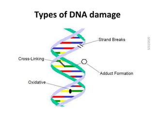 Genotoxic impurities and analysis | PPTX