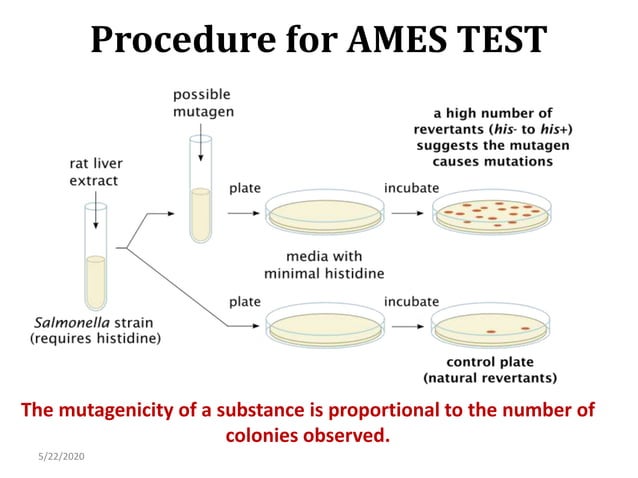 Genotoxic impurities and analysis | PPTX