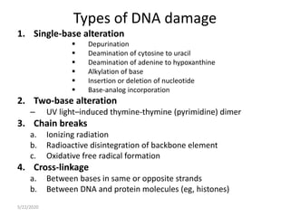Genotoxic impurities and analysis | PPTX