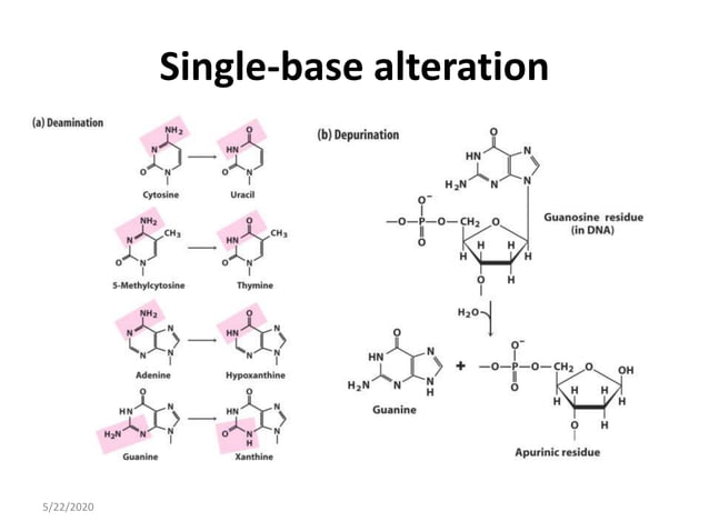 Genotoxic impurities and analysis | PPTX
