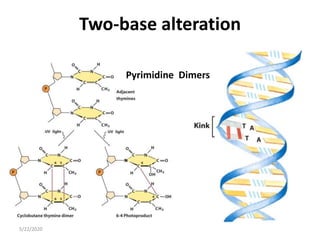 Genotoxic impurities and analysis | PPTX