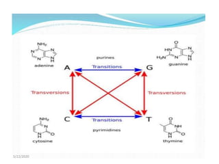 Genotoxic impurities and analysis | PPTX