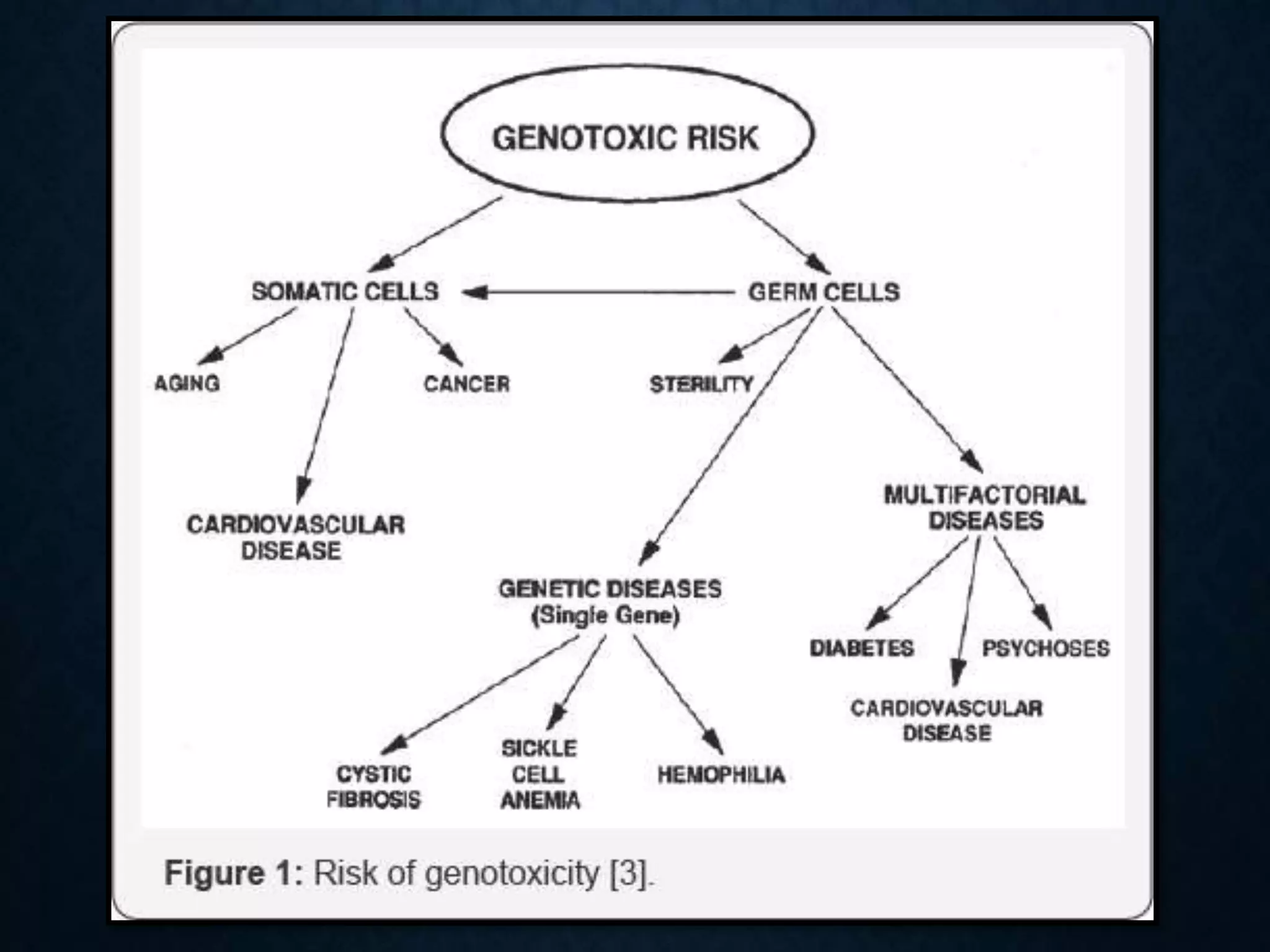 Genotoxicity | PPTX