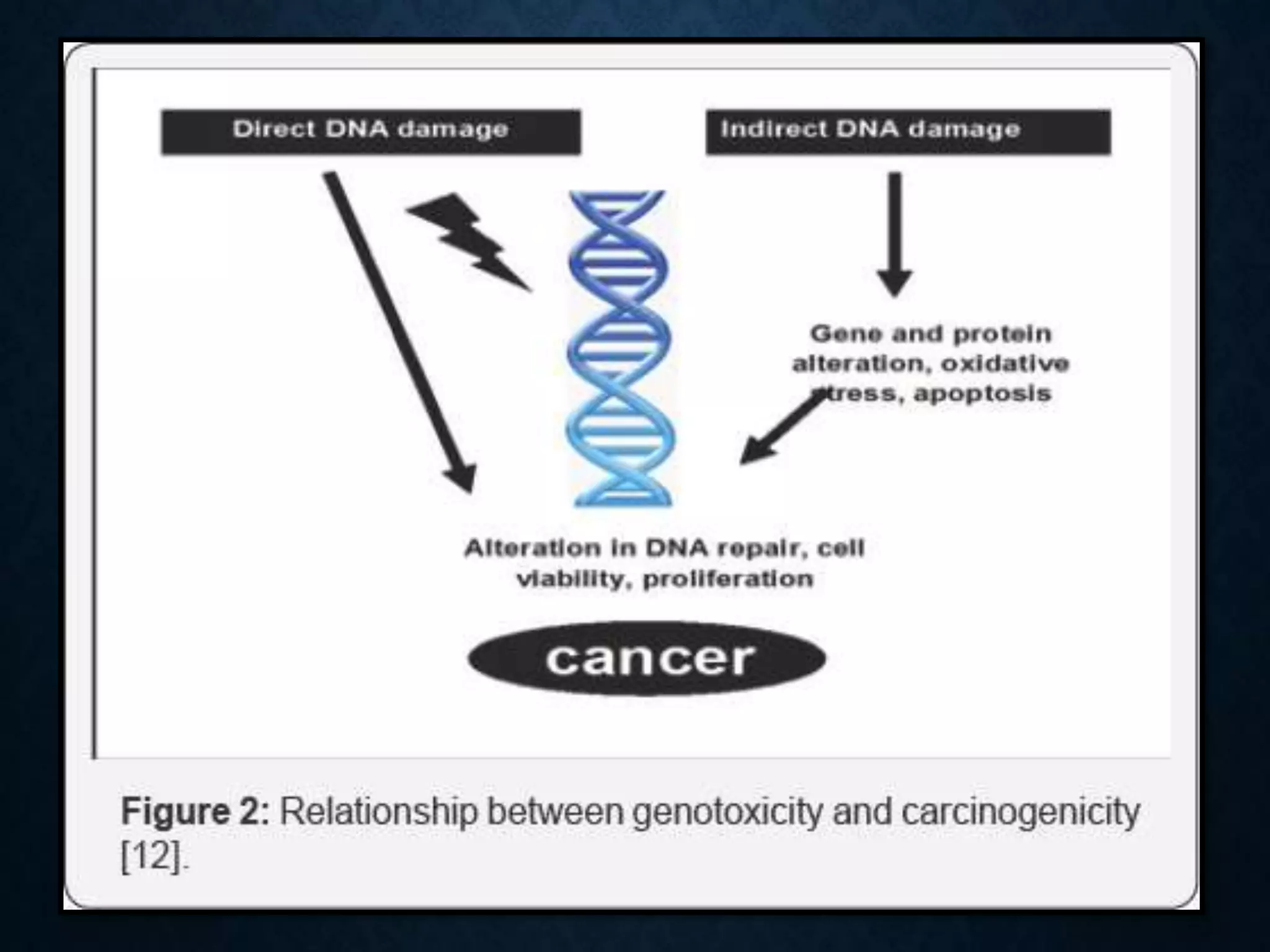 Genotoxicity | PPTX