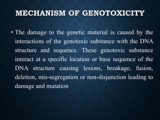 Genotoxicity | PPTX
