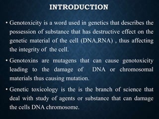 Genotoxicity | PPTX