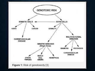 Genotoxicity | PPTX