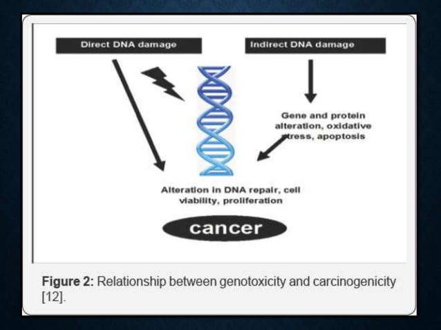 Genotoxicity | PPTX | Chemistry | Science