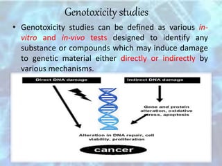GENOTOXICITY STUDIES(as per OECD) | PPTX