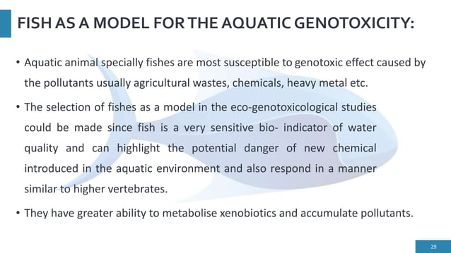 Genotoxicity | PPTX | Biological Sciences | Science