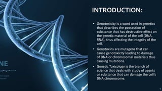Genotoxicity | PPTX