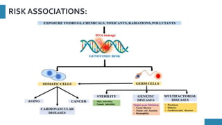 Genotoxicity | PPTX