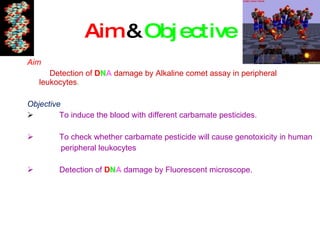 Geno Toxicity Presented by Subin Joy Koikkara Senior Reserch Guide, A.I.M.S Reserch Centre | PPT