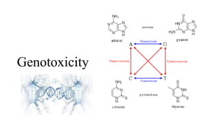 Geno toxicity, carcinogenicity and teratogenicity | PPTX